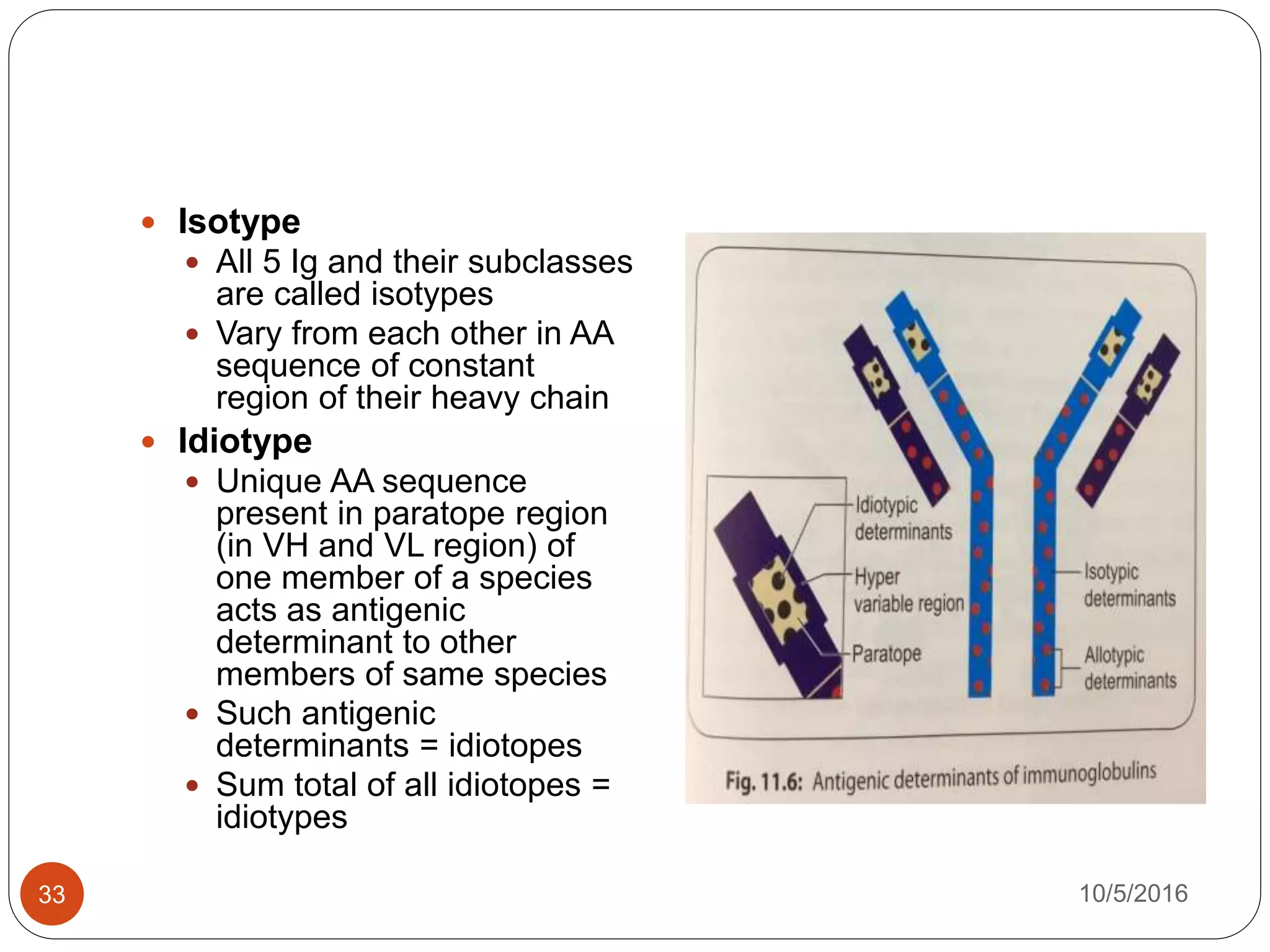 Antibody | PPTX