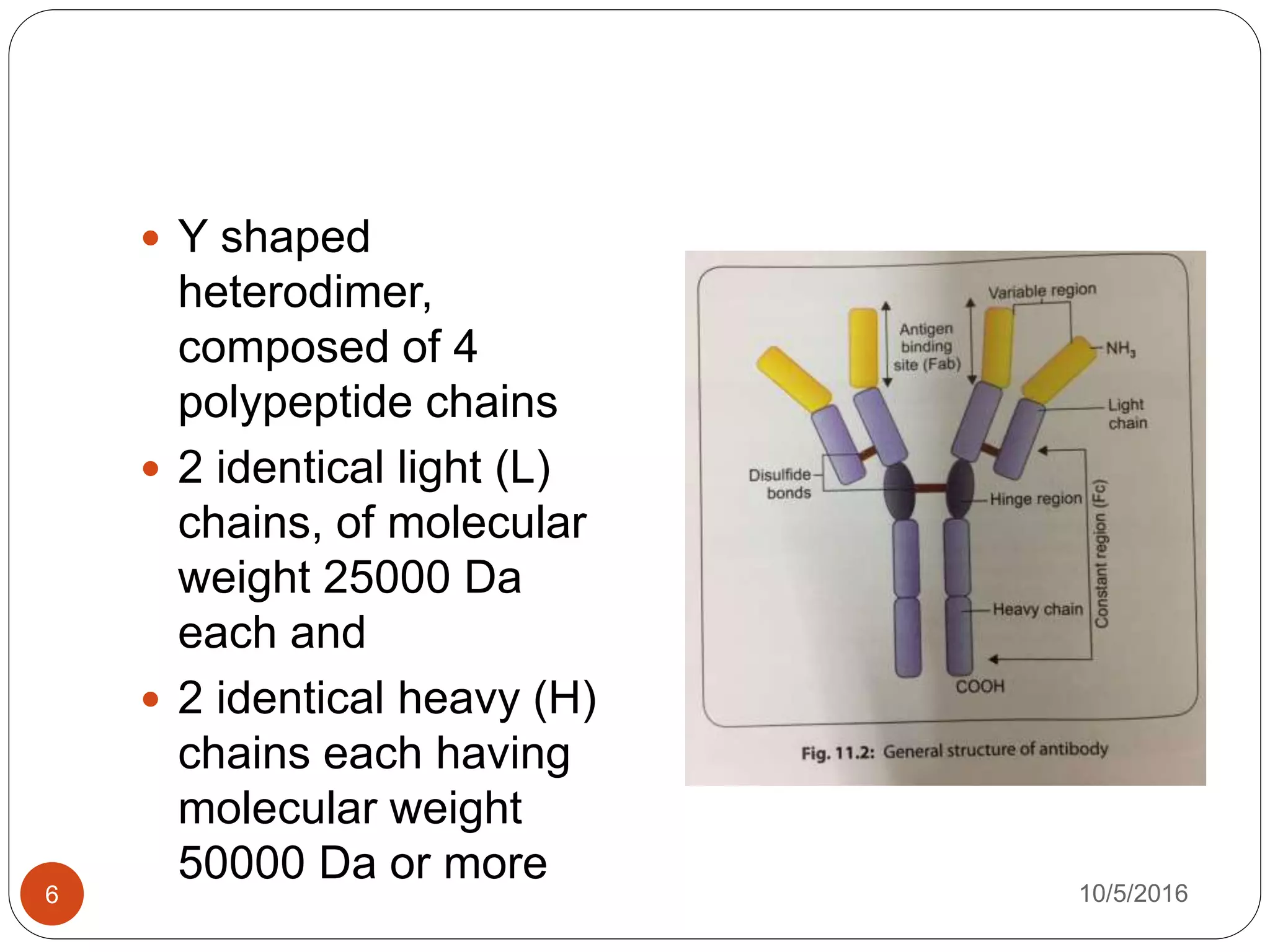 Antibody | PPTX
