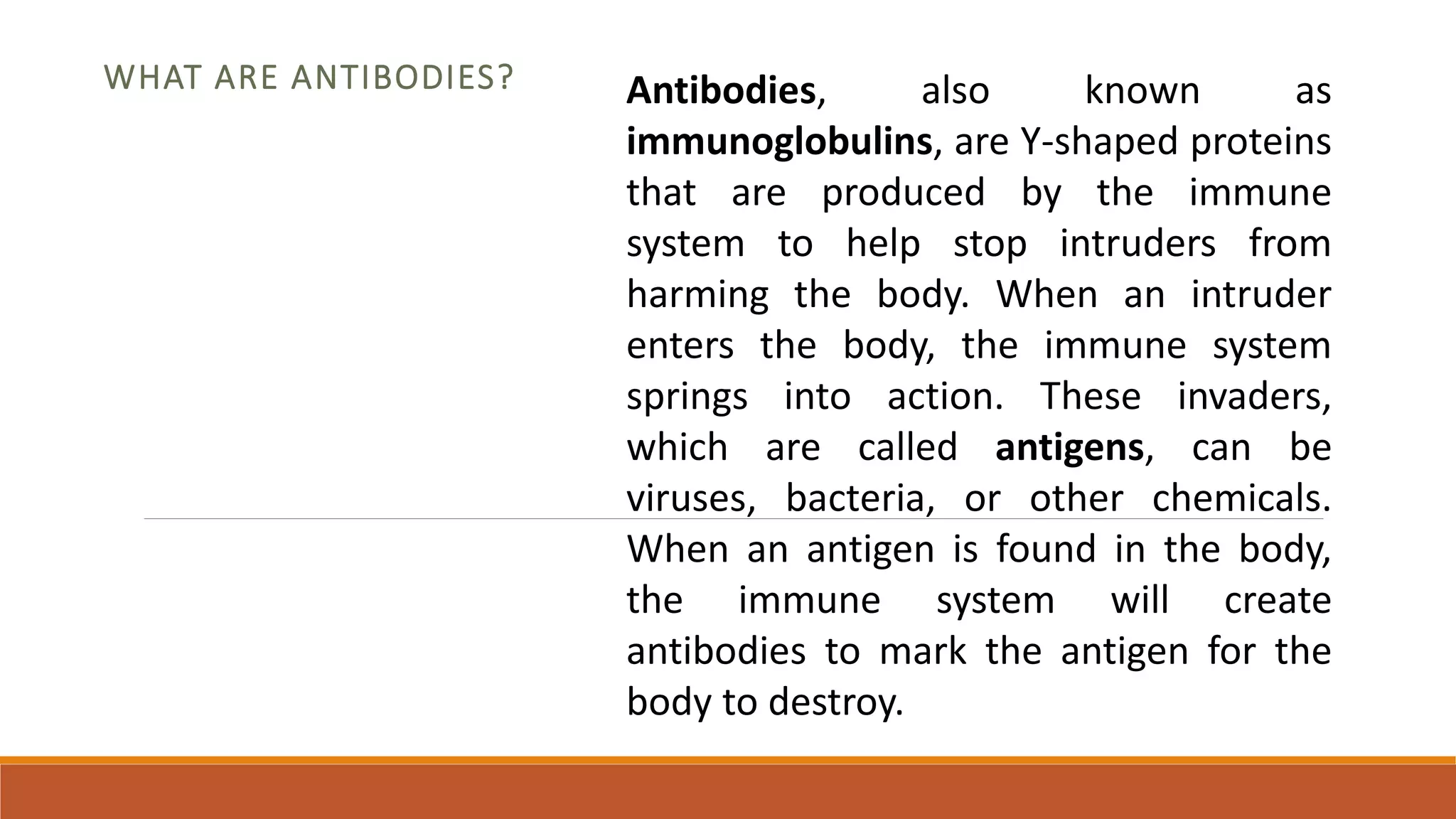 Antibody ss | PPTX | Infectious Diseases | Diseases and Conditions
