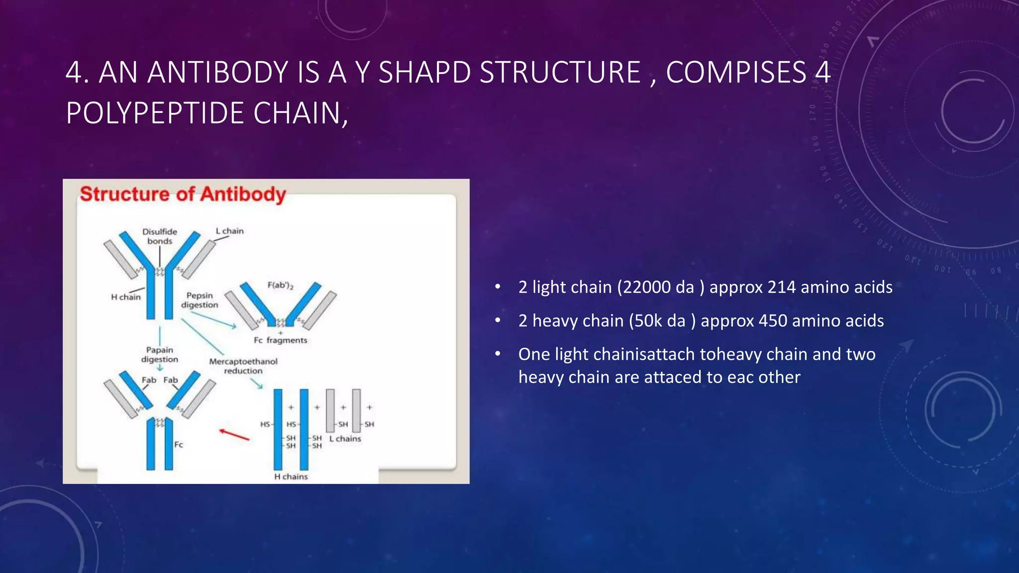 Antibody structure , functions and classification | PPTX
