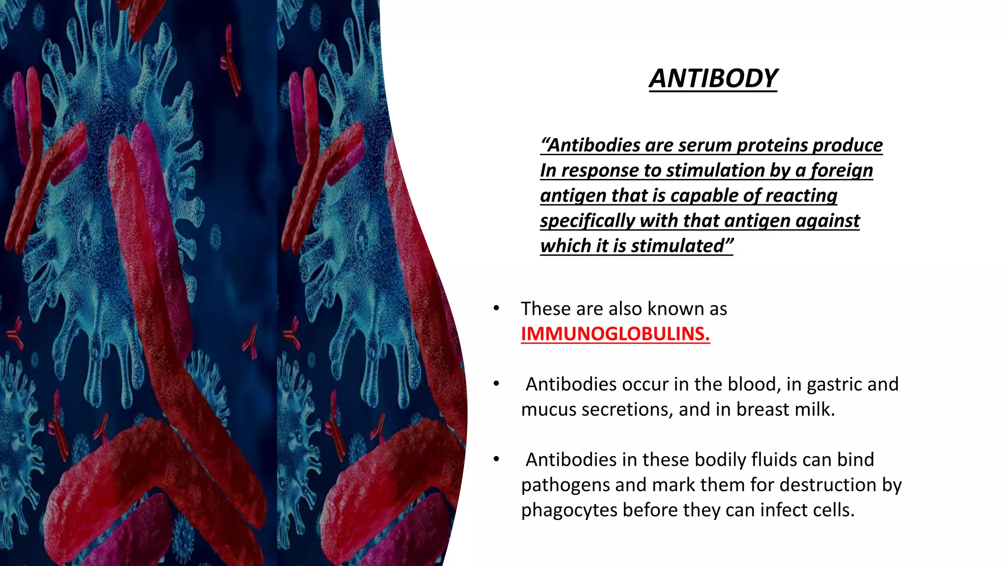 Antibody Structure | PPTX