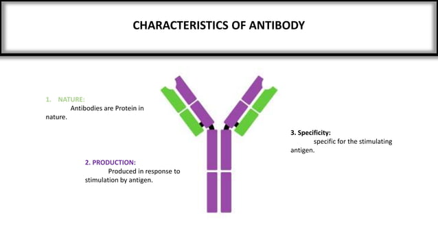 Antibody Structure | PPT