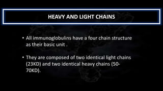 Antibody Structure | PPT