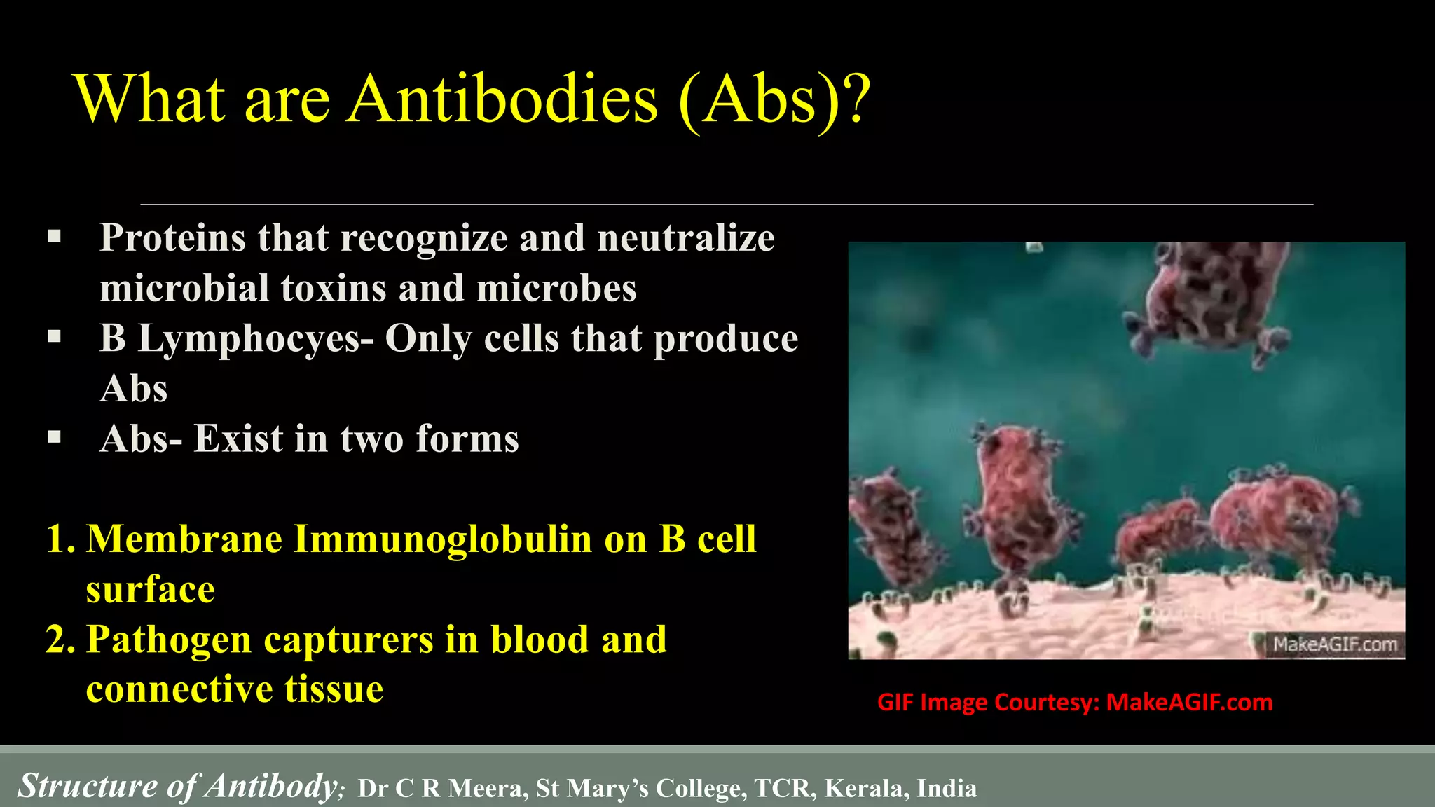 Antibody structure dr meera | PPTX