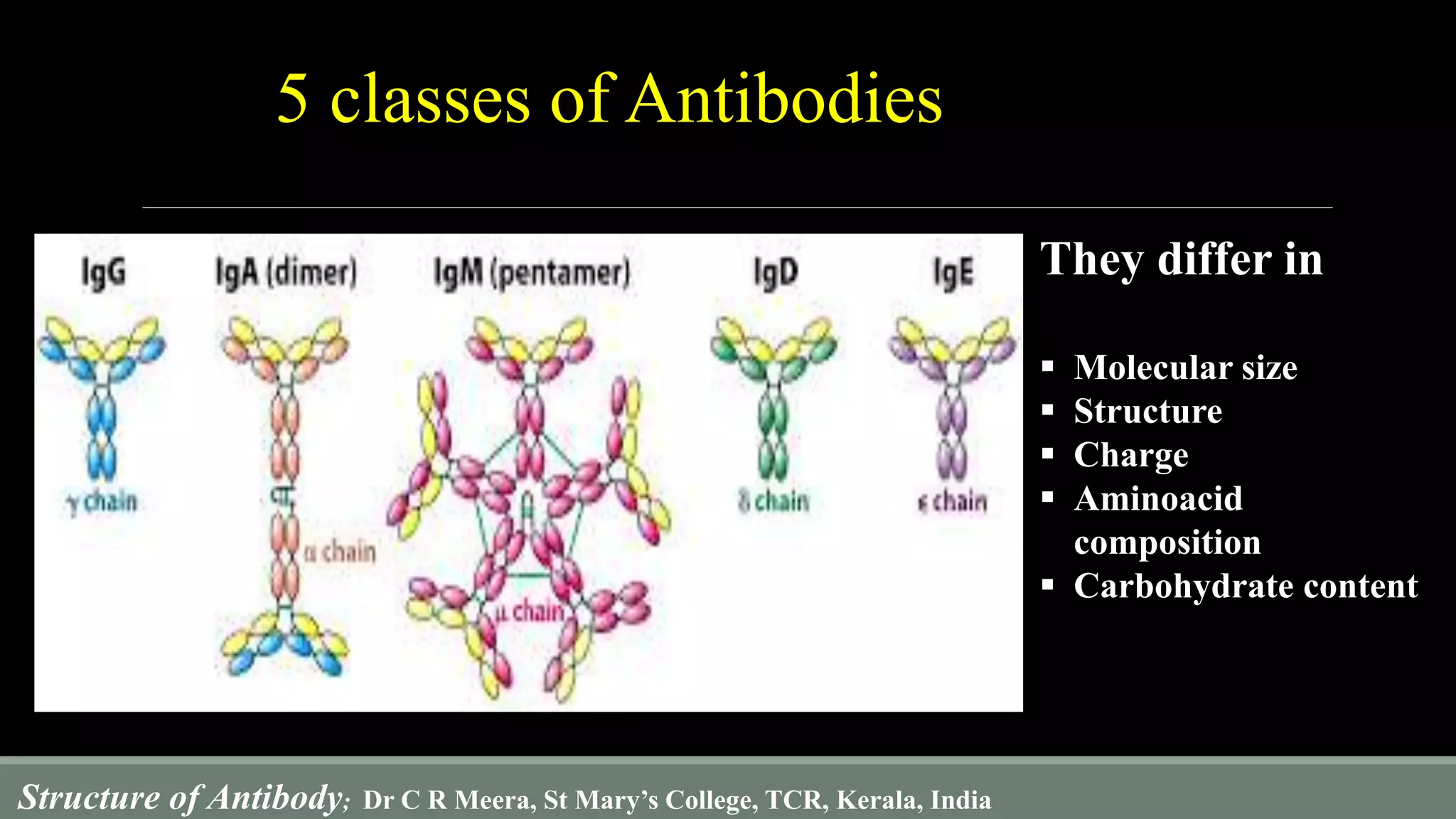 Antibody structure dr meera | PPTX