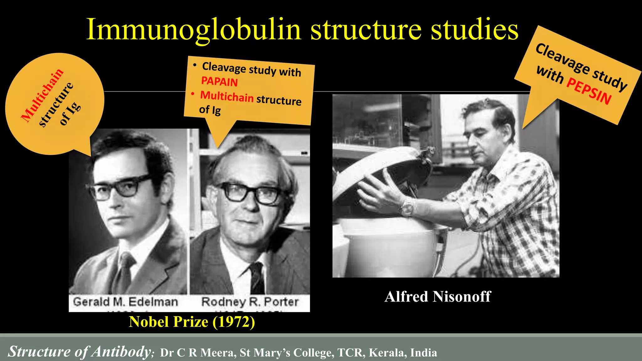 Antibody structure dr meera | PPTX