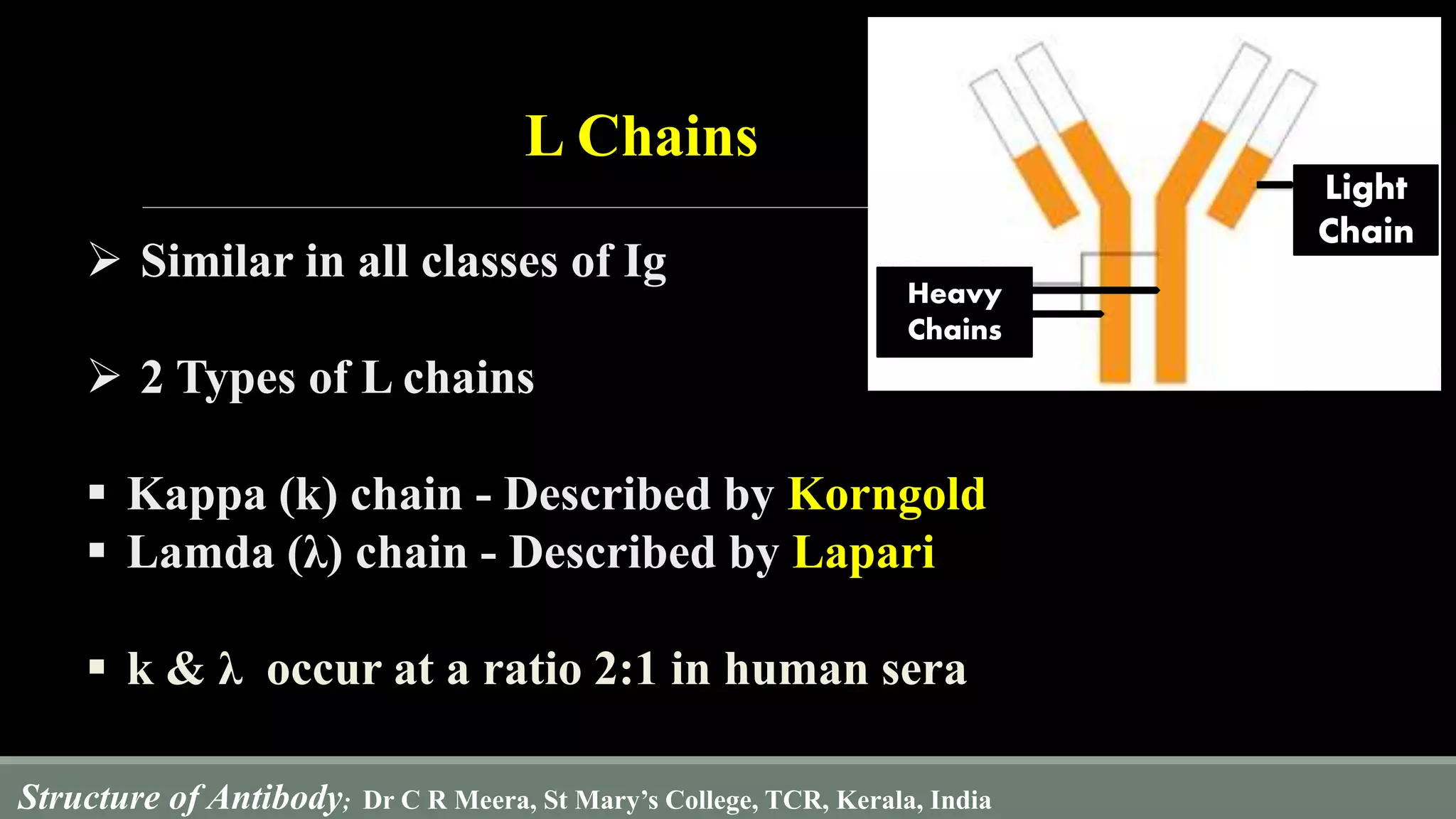Antibody structure dr meera | PPTX