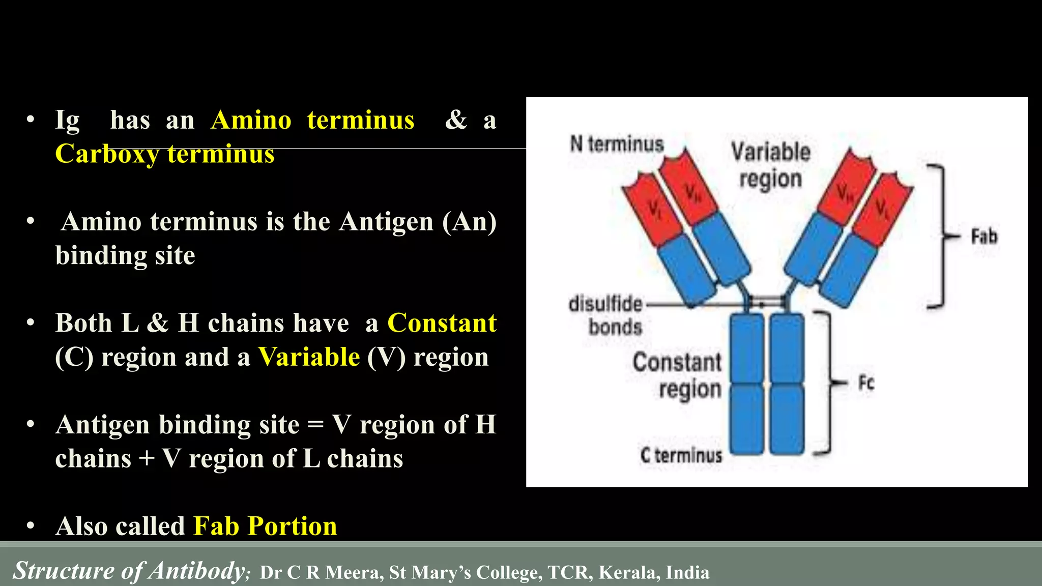 Antibody structure dr meera | PPTX