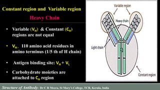 Antibody structure dr meera | PPTX