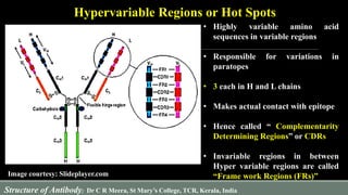 Antibody structure dr meera | PPT