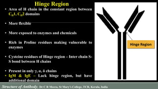 Antibody structure dr meera | PPT
