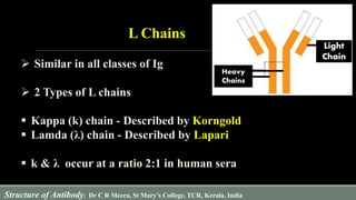 Antibody structure dr meera | PPT