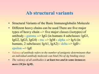 ANTIBODY STRUCTURE AND FUNCTION-2022.ppt