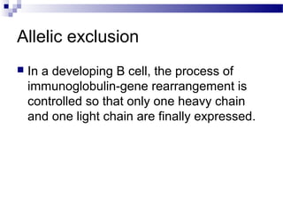 Antibody structure and the generation of b cell | PPT