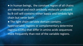Antibody (immunoglobulin) structures and types | PPTX