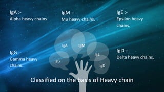 Antibody (immunoglobulin) structures and types | PPTX