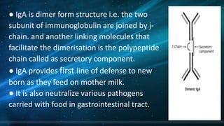 Antibody (immunoglobulin) structures and types | PPTX