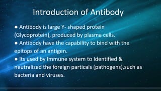 Antibody (immunoglobulin) structures and types | PPTX
