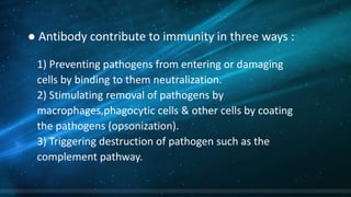 Antibody (immunoglobulin) structures and types | PPTX