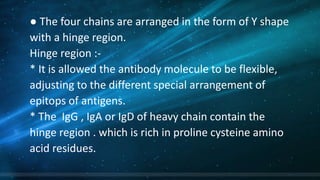 Antibody (immunoglobulin) structures and types | PPTX