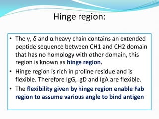 Antibody structure, types and function.pdf