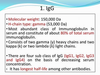 Antibody structure, types and function.pdf