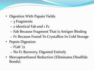 Antibody structure, types and function.pdf