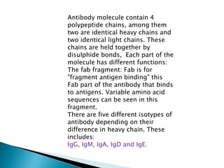 Antibody types and function | PPTX