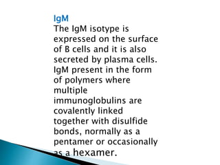 Antibody types and function | PPTX