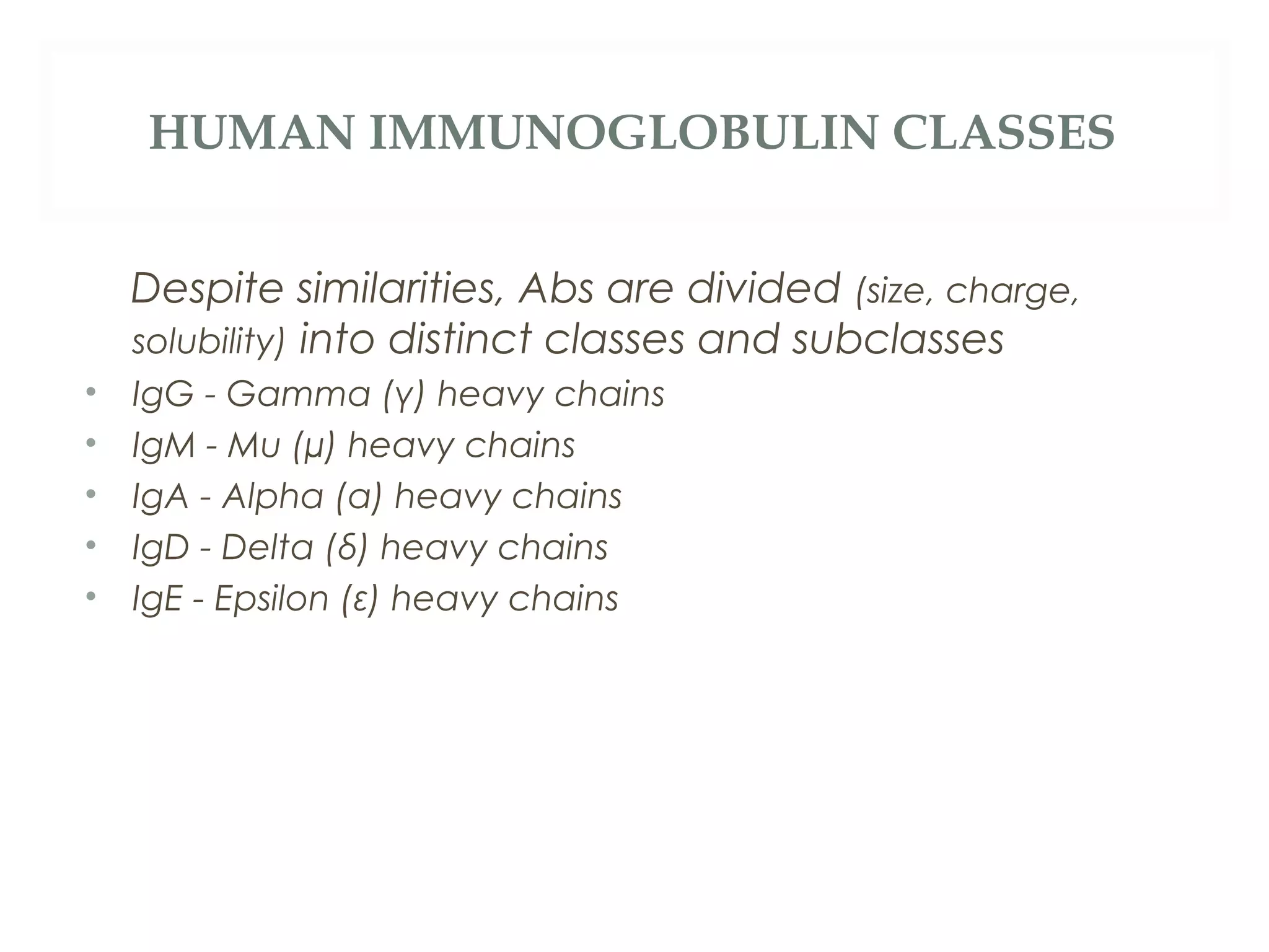 Antiboy or immunoglobulin | PPT