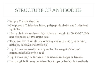 Antiboy or immunoglobulin | PPT