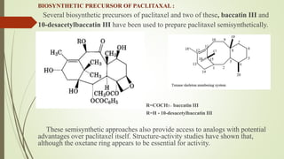Anticancer DRUG | PPTX