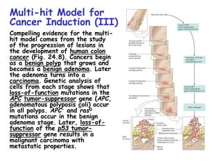 Anticancer.ppt