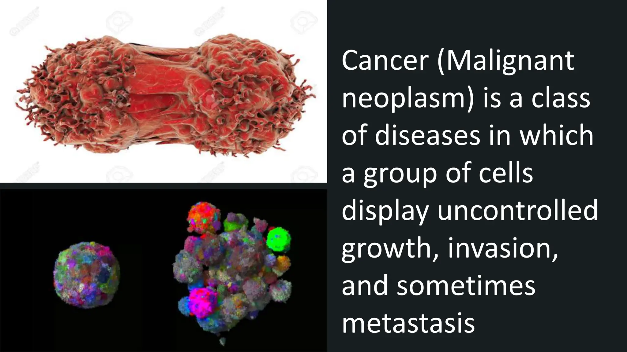 ANTI CANCER DRUGS WITH MECHANISM AND IMP PHARMACOLOGY | PPTX