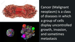 ANTI CANCER DRUGS WITH MECHANISM AND IMP PHARMACOLOGY | PPTX | Cancer ...
