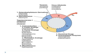 ANTI CANCER DRUGS WITH MECHANISM AND IMP PHARMACOLOGY | PPTX | Cancer ...