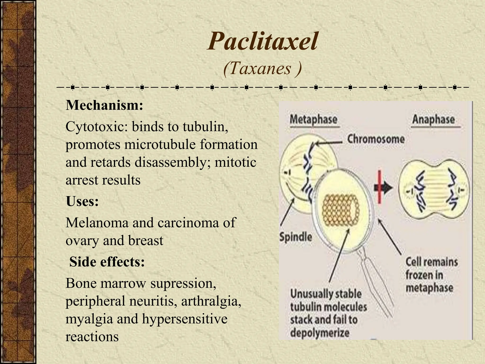 Anticancer ppt of pharmacology b pharmacy | PPT