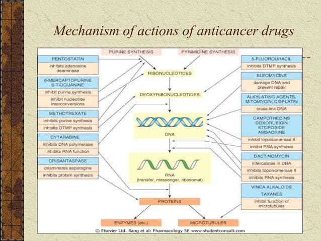 Anticancer ppt of pharmacology b pharmacy | PPT