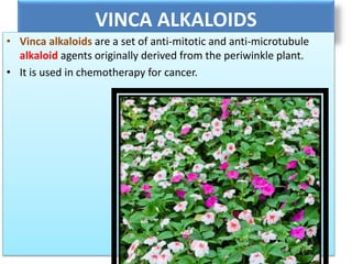 Anticancer | PPT
