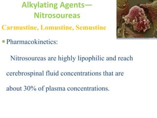 Anticancer drug | PDF | Cancer | Diseases and Conditions