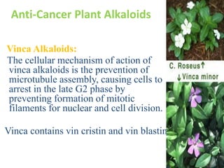 Anticancer drug | PDF