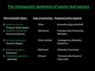 Anti cancer activity of medicinal plant | PPTX