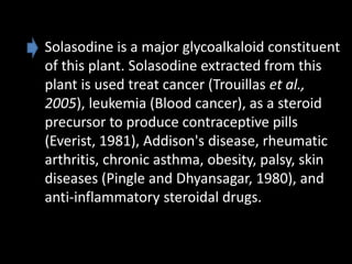 Anti cancer activity of medicinal plant | PPTX