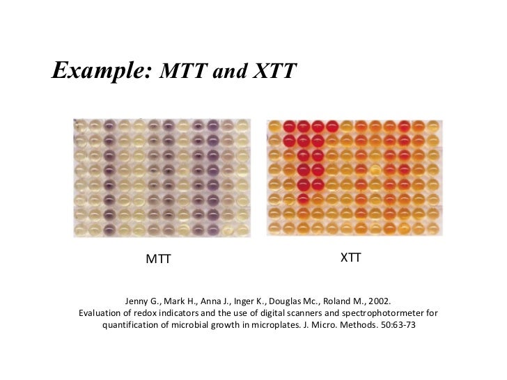 Anticancer activity studies