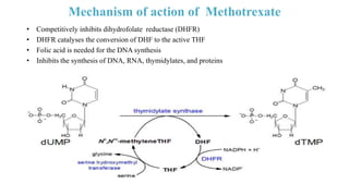 Anticancer drug | PPTX