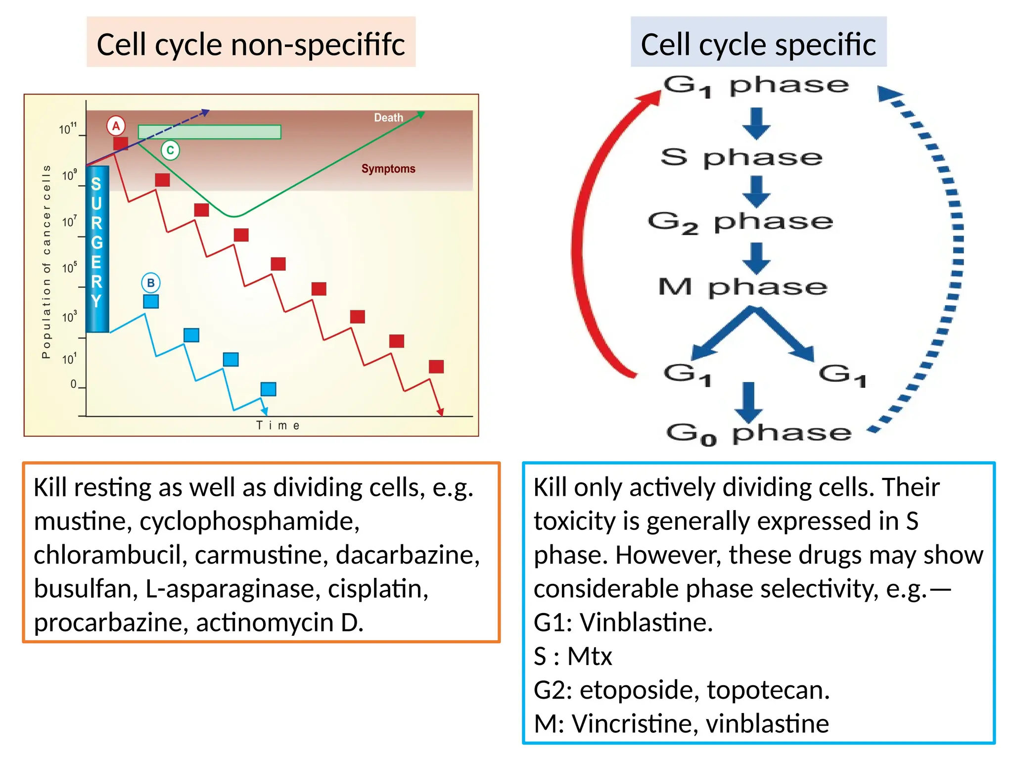 ANTICANCER drug , classification, Mechanism of action | PPTX