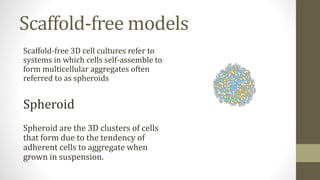 Anticancer drug discovery using multicellular tumor spheroid models | PPTX