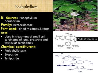 Anticancer drug from plant | PPTX