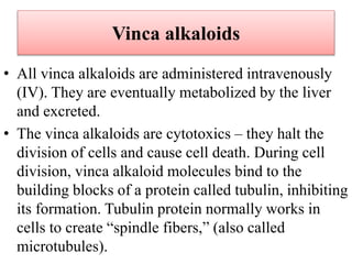 Anticancer drugs | PPTX