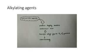 Anticancer drugs REVISION NOTES | PDF